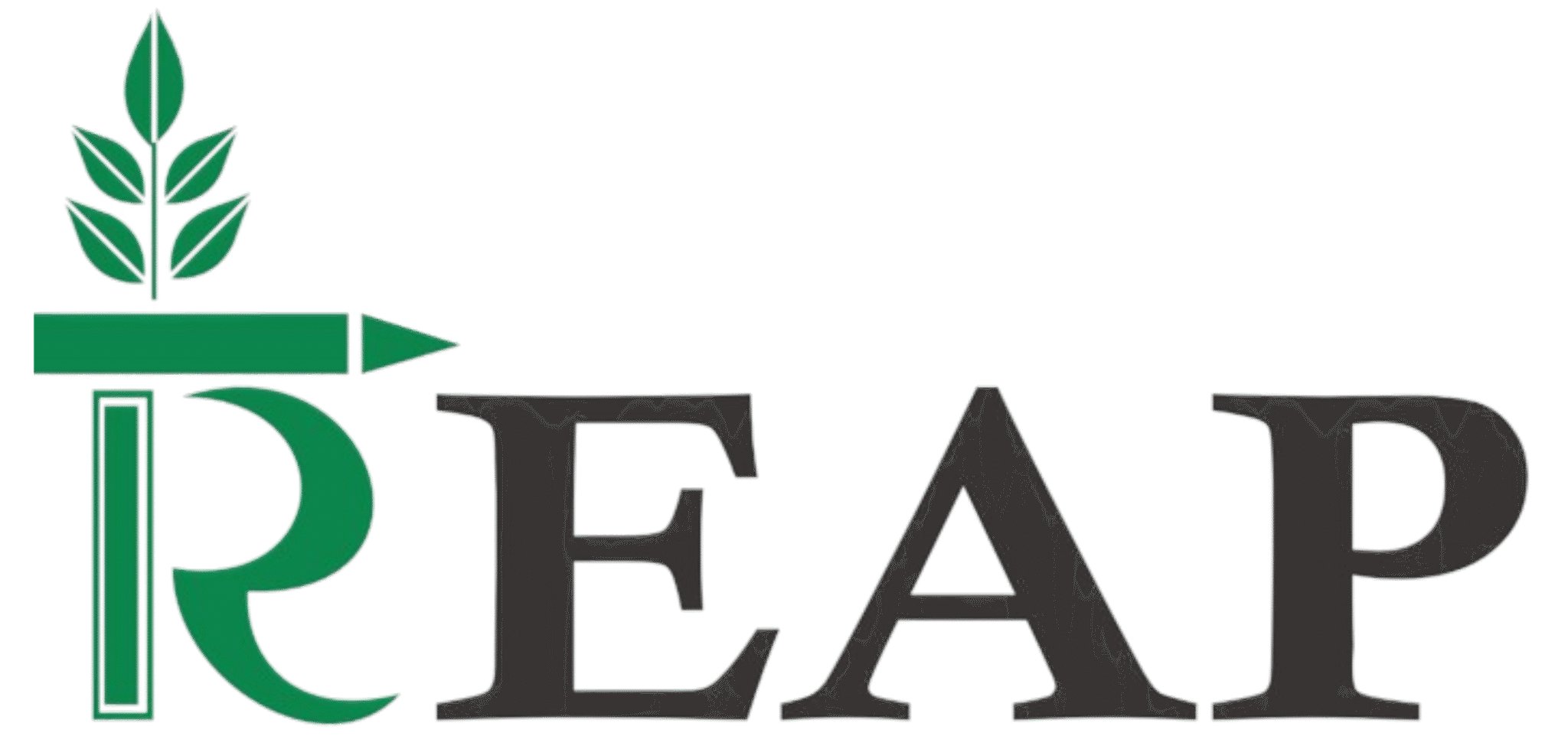 ReapChild – Together, We educate and empower!